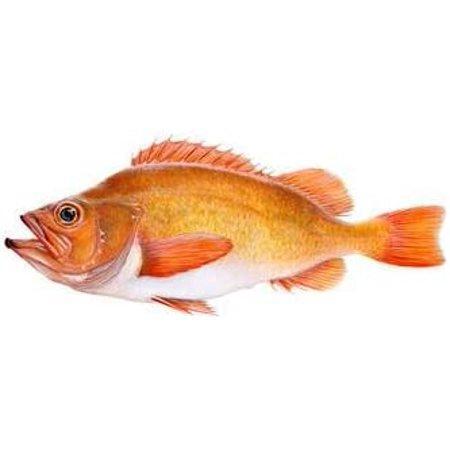 Icelandic Redfish Skin Rolls 3 oz | The Urban Canine